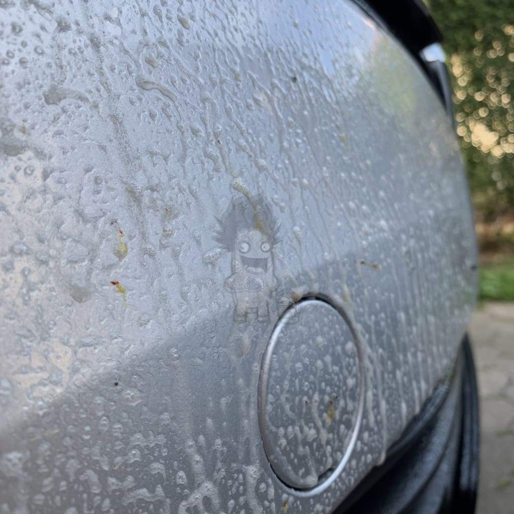 Auto Glanz Bug Off » Highly Effective Bug Remover – Auto Glanz Europe